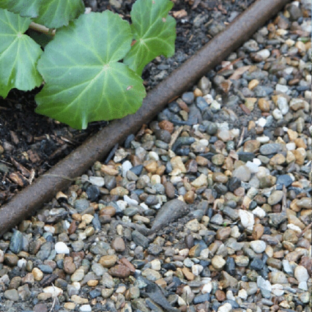 Epic Plastics Epic Edge Composite Landscape Edging Black 4 in. x 20 ft | SiteOne US